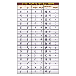 Goyal Exports Silver Spinner Band Ring Solid 925 Sterling Silver Garnet Spinner Band Meditation Ring Handmade For Men Women SRG155 (US-8)