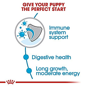 Royal Canin Large Puppy Dry Dog Food, 18 lb bag