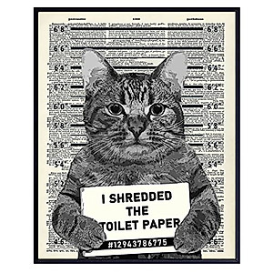 Guilty Cat Wall Decor - Cat Wall Art - Dictionary Art - 8x10 Humorous Poster, Mugshot Wall Art or Home Decoration for Bathroom, Bath - Funny Gag Gift for Cat Lovers - Upcycled Picture Photo Print