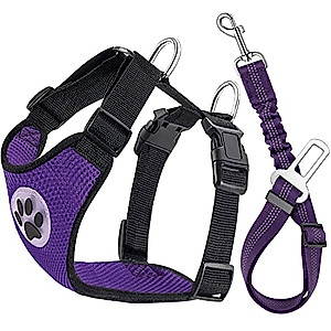 Lukovee Dog Safety Vest Harness with Seatbelt, Dog Car Harness Seat Belt Adjustable Pet Harnesses Double Breathable Mesh Fabric with Car Vehicle Connector Strap for Dog (Medium, Purple)