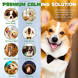 ALIVO Calming Diffuser for Dogs, Dog Calming Plug Diffuser - Dog Calming Pheromone Starter Kit Helps Ruduce Anxious, Anti-Stress & Comforts Dogs, Pet Supplies Relaxants & Anxiety Relief - 48ml