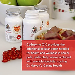 Dr. Harvey's Coenzyme Q10 - Heart & Cardiovascular Support Supplements for Dogs, 60 Capsules
