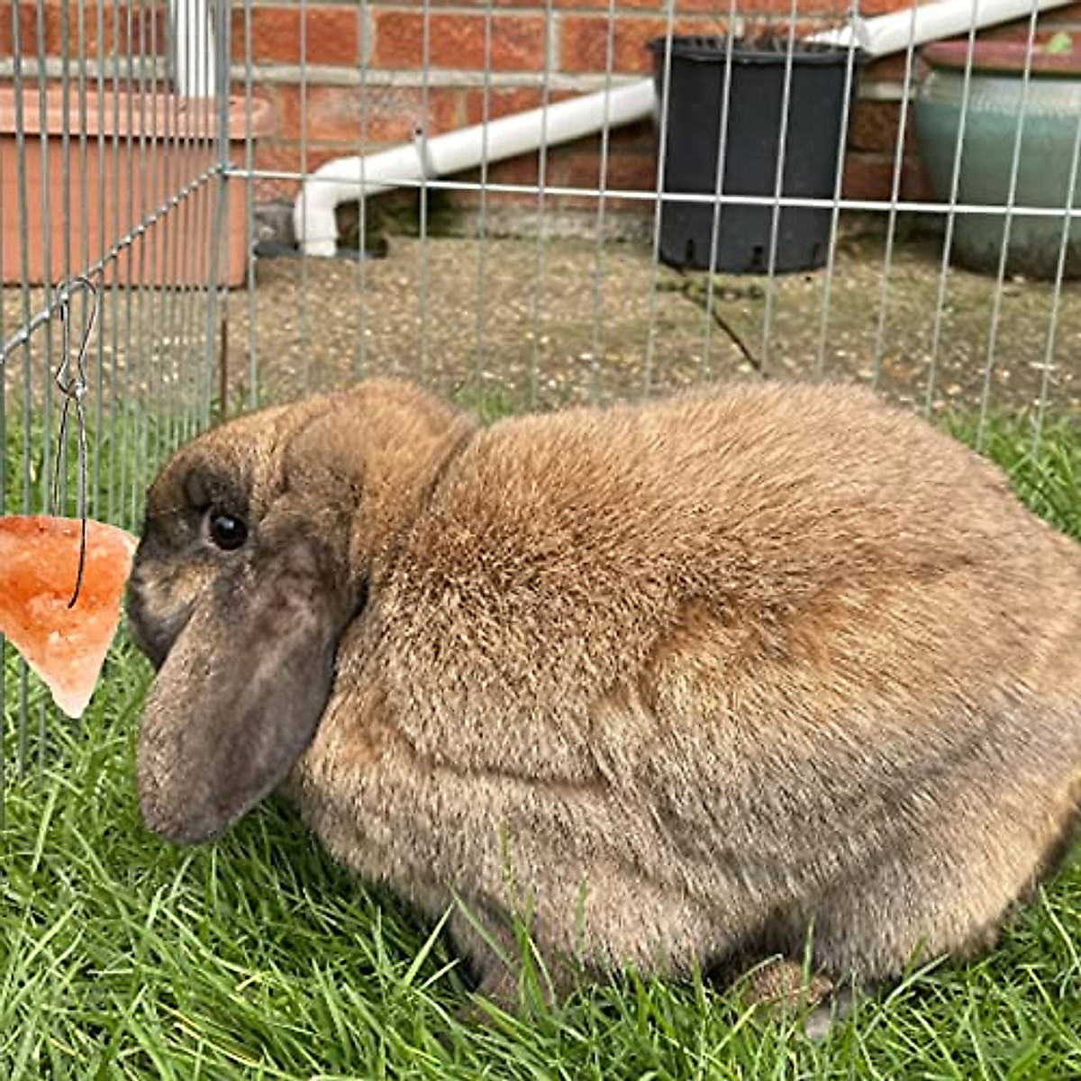 PINVNBY Rabbit Himalayan Salt Lick Block,Small Animals Chew Toys Rabbits Pink Natural Mineral Salts Blocks for Horses Bunny(8 Pcs)