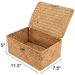 Yesland Handwoven Seagrass Rattan Storage Basket - 11.5'' x 7.5'' x 5'' - Brown Rectangular Makeup Organizer Container with Lid, Perfect for Decoration, Picnic, Groceries and Toy Storage