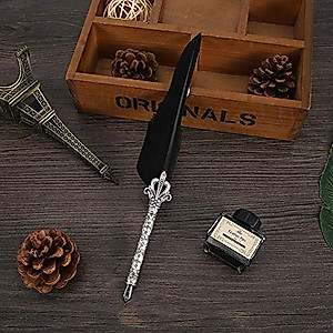 Hztyyier Vintage Feather Quill Pen Set Calligraphy Dip Pen Kit with 5x Stainless Steel Nibs + Pen Holder + Ink(Black) School Supplies