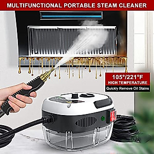 Pressure Steam Cleaner, 2500W Handheld High Temp Portable Steamer Cleaning Machine with 3 Brush Heads, for Home Use Grout Tile Car Detailing Kitchen Bathroom