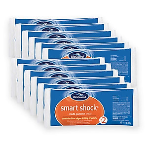12 Pack BioGuard Smart Shock 1lb Granular Swimming Pool Oxidizer