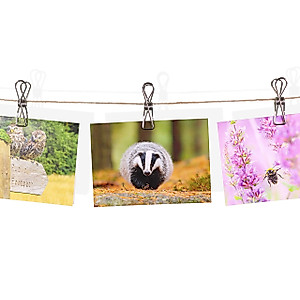 Oakenleaf Clothespins Stainless Steel Will Not Rust 316 Marine Grade 40 Piece Wire Durable Hurricane Proof Clothes Pegs Modern & Eco Friendly 2.3inch - The Forever Peg