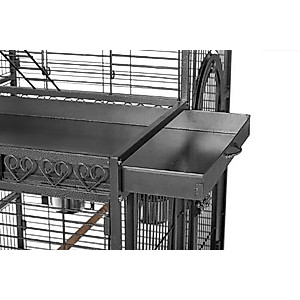 Prevue Pet Products BPV3159 Double Roof Bird Cage with Playtop, 36-1/2 by 27-1/4-Inch, Black