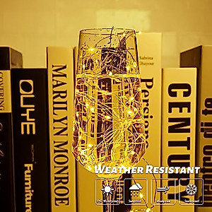 Fairy Lights 66 ft 200 LED USB Twinkle String Lights Plug in Silver Wire Lights with Remote and Timer 8 Modes Outdoor Waterproof Starry Lights DIY Party Wedding Christmas Decoration（Warm White）