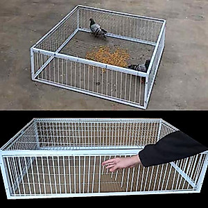 Pigeon Loft Door Pigeon Entrance Door Trap Door Pigeon House Door Racing Supplies Pet Bird Supply Product Bird cage Door (30cm/12in)