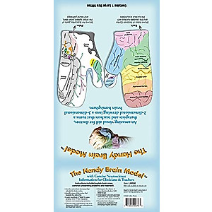 Handy Brain Model B-2 (large)