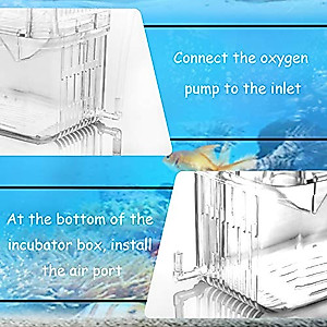 Fortune-star Fish Breeding Box Aquarium Fish Tank Hatchery Incubator Breeder Box Fish Breeding Tanks Acrylic White Breeder Isolation Divider Hatching Boxes with Suction Cups