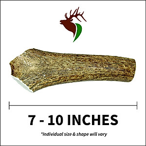 Elkhorn Premium Chews - Large Whole Single Pack (for 35-65 lb Dogs) Premium Grade Elk Antler for Dogs (1 Piece) Sourced in The USA