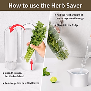 UEOZ Herb Keeper for Refrigerator, Herb Saver for Refrigerator, Cilantro Container, Vegetable Preservation Bottle for Cilantro, Mint, Parsley, Asparagus, Keeps Greens Fresh for 2-3 Weeks (2PCS)