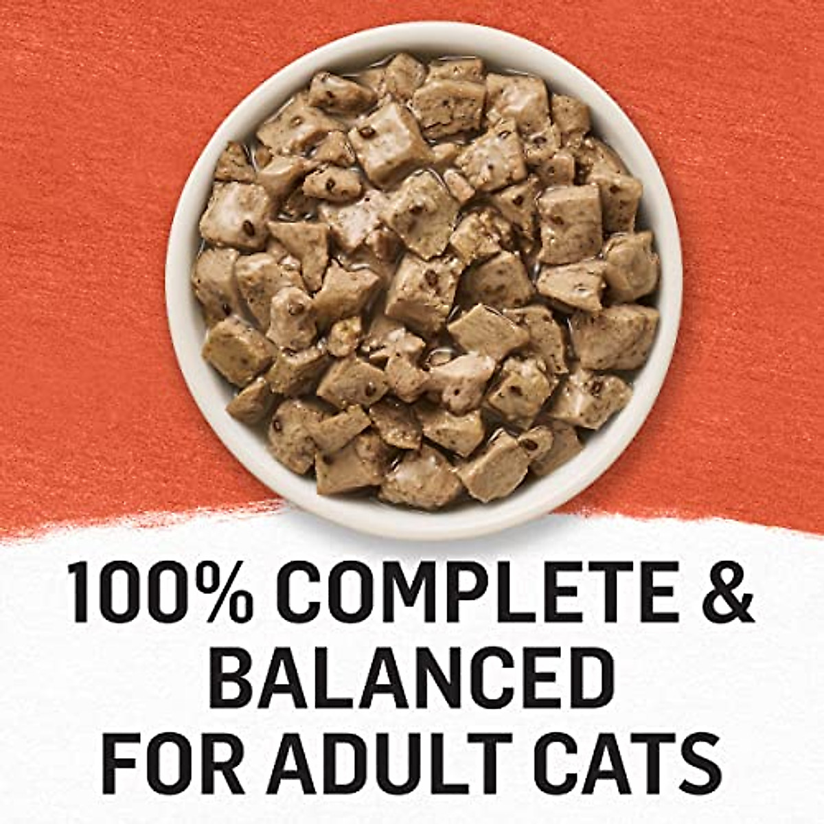 Purina Beyond Natural Cat Food Complement, Mixers+ Digestive Support Wild Salmon & Pumpkin Recipe - (16) 1.55 oz. Pouches