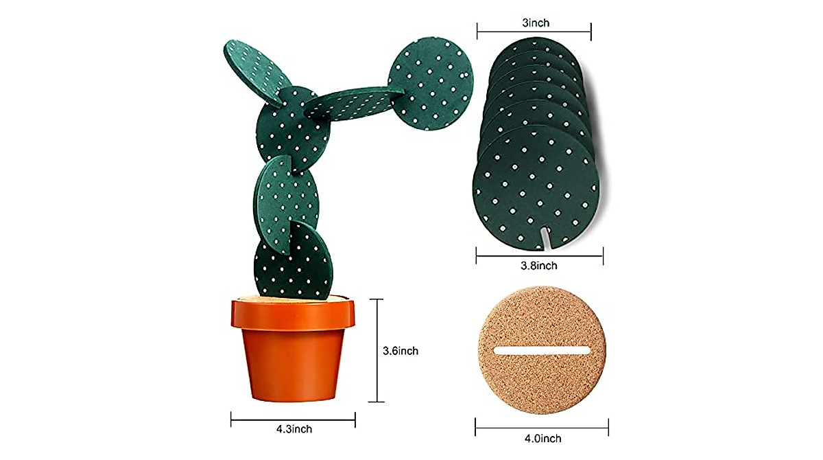 Cactus Coasters Set of 6 – Fun & Unique Drink Protectors for Home & Office
