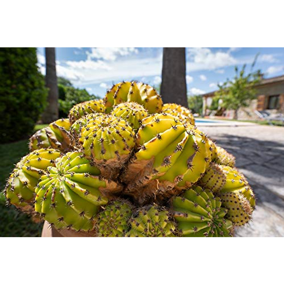 Tamron 17-28 mm F/2.8 Di III Rxd Lens for Sony E Cameras, A046SF Black