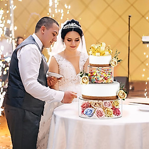 2 PCS Clear Acrylic Cake Stand, FEMELI Fillable Cake Box Case Tier Holder, Cylinder Round Cake Riser Display Box with Lid, Centerpiece Cake Base with Lights for Birthday Wedding Party Decor(10*4, 6*4)