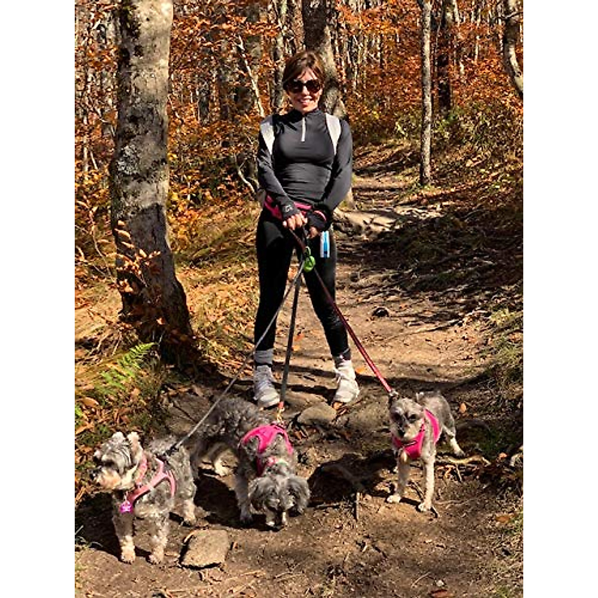 Doggie Don't Device- Handheld Sound Only Dog Training Corrector- Better and More Humane Than a Shock Collar- Stop Barking and Other Naughty Behaviors - Created by a Dog Lover in The USA