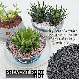 2 lb. Pebbles for Plants, Drainage Rocks for Potted Plants, Terrarium Succulent Bonsai Cactus Rocks Stones | Aquarium Pebbles for Fish Tank