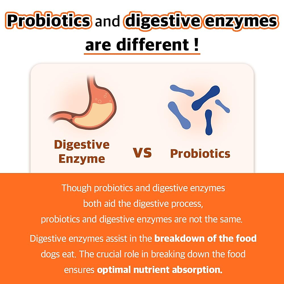 Doctor By Enzyme for Dogs Digestive Enzyme Supplements for Dogs with Protease, Amylase, Lipase - Promotes Digestion and Improves Nutrient Absorption - 30 Individually Packaged (1 Pack)
