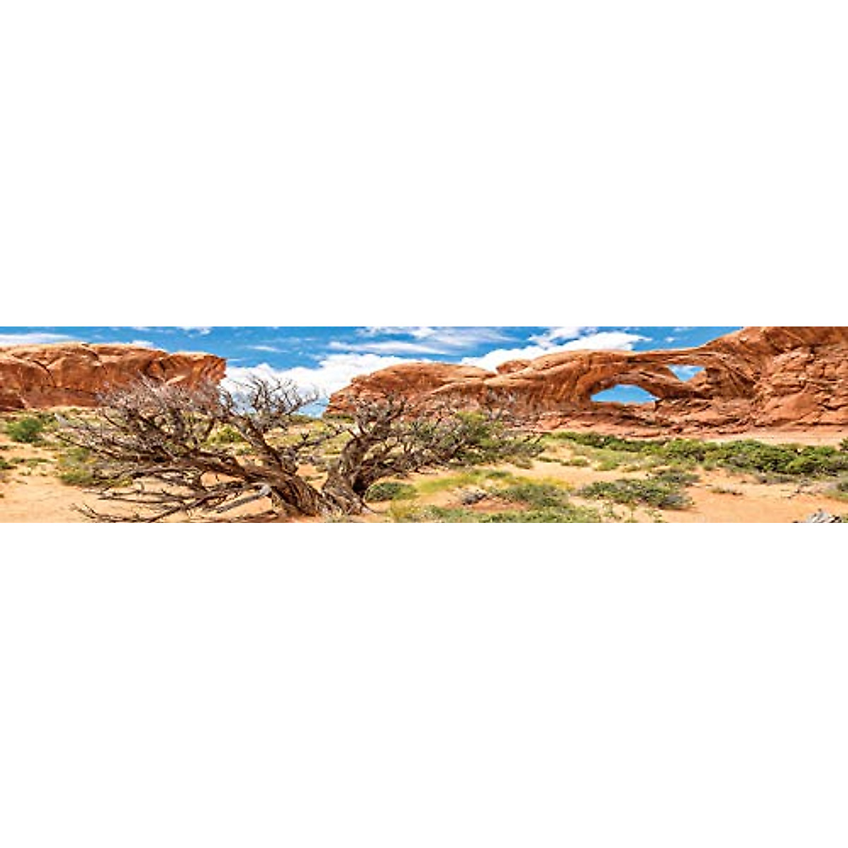 Carolina Custom Cages Reptile Habitat Background; Double Arch with Tree, for 48Lx24Wx24H Terrarium, 3-Sided Wraparound