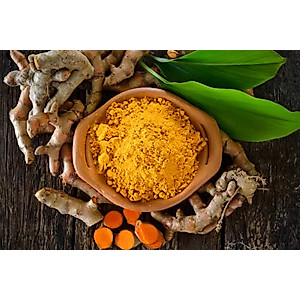 8 Turmeric Roots Curcuma Longa for Planting Indoor Outdoor Ornaments Perennials Garden Growing Can Grow Well Pot