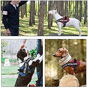 Custom Patch 2 Pieces Dog Vest Patches, Personalized Removable Tactical Patches for Dog Harness Service Dog in Training and Dog Halter Patches with Hook and Loop