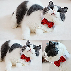 Bolbove Adjustable Formal Pet Bowtie Collar Neck Tie for Dogs & Cats (Small, Red)