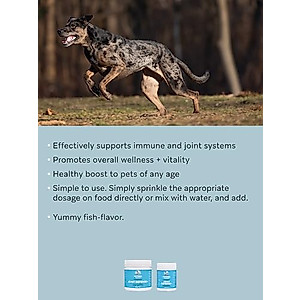 PETCODE PAWS Joint & Immunity Supplement for Dogs & Cats – Gluten-Free Joint Support Pet Nutrition with Multivitamin Blend – Premium Pet Supplies for Dogs Overall Well-Being & Immune Defense - 8 oz
