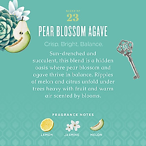 Caldrea Dish Soap, Biodegradable Dishwashing Liquid made with Soap Bark and Aloe Vera, Pear Blossom Agave, 16 oz , 3 Pack