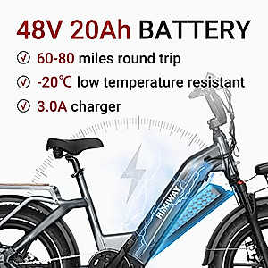 Himiway Big Dog Cargo Electric Bike,750W E-Bikes for Adults, 48V 20Ah Removable Battery, 400 Lbs Max Load & Upgrade Hydraulic Braking System,25Mph, Shimano 7-Speed
