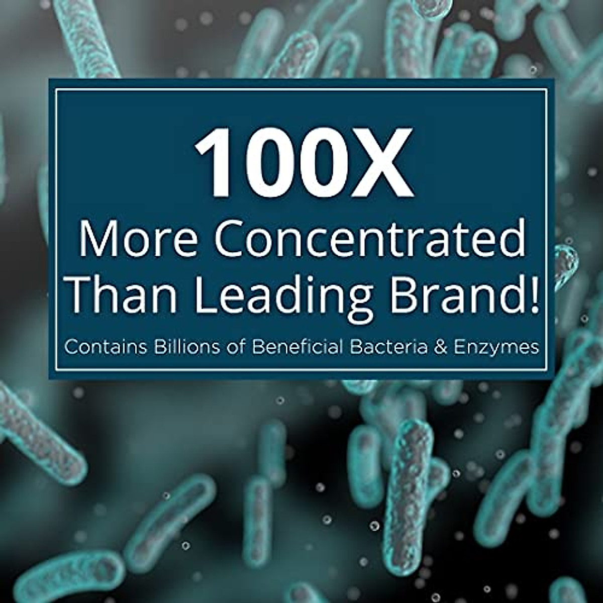 Dr. Connie's Compost Plus, Natural Compost Starter/Accelerator