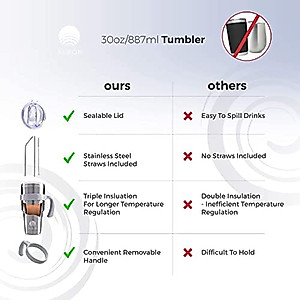 ALBOR Insulated Tumbler with Lid and Straw 30 oz Insulated Coffee Mug with Handle Coffee Mug Triple Insulated Technology with 2 Lids, 2 Metal Straw, Brush and Storage Bag, Stainless Steel