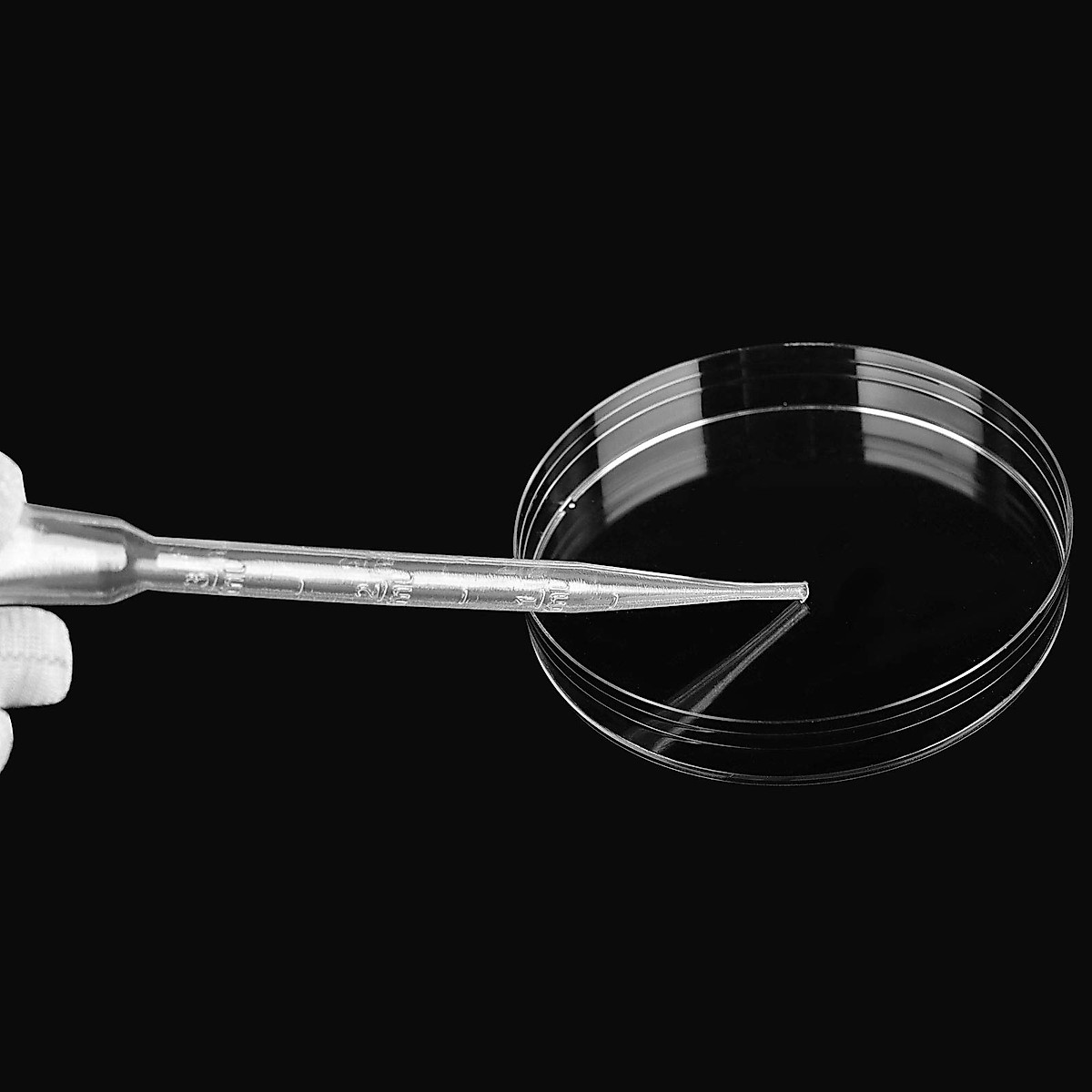 ZOENHOU 50 PCS 90 x 15mm Plastic Petri Dishes, Clear Culture Dish with Lids Sterile Petri Dish, including 100 PCS 3ml Plastic Transfer Pipettes for School, Lab, Science, Fair Project and theme Parties