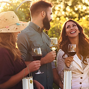 Wine Gift Bags 12 Pack - Reusable 4 Colors With Gold Foil Print Design with Soft Handles