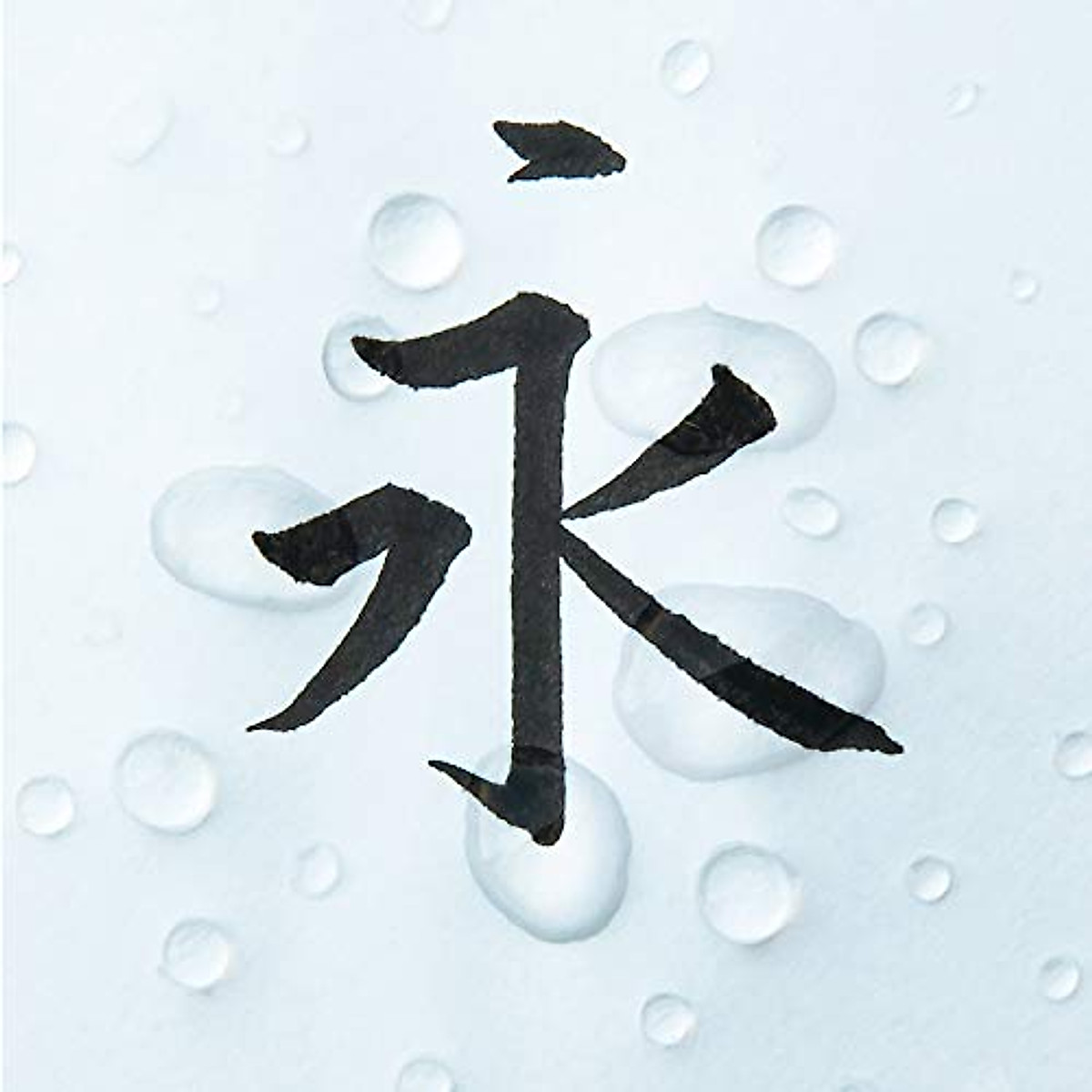 Pentel XFP5F Brush Pen, Pentel Brush, Ultra Fine, Black, 1.6 x 9.1 x 0.6 inches (40 x 230 x 15 mm)