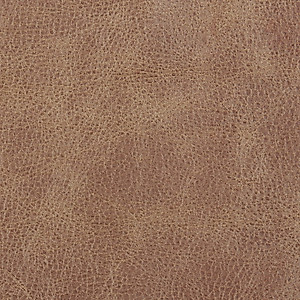 Modern Leather Sofa Couch with Wood Base, 89.4" W, Cognac/Espresso