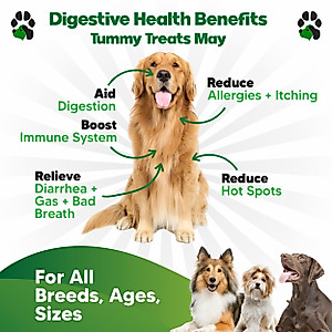 Probiotics for Dogs All Ages - Dog Probiotics for Digestive Health - Digestive Enzymes for Gut Flora, Diarrhea & Bowel Support - Gut Health Support Prebiotics for Dogs - 90 Probiotic Chews for Dogs