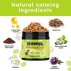 Zingly Hemp Calming Chews for Dogs Anxiety Relief, Dog Calming Chews - Anxiety Relief Treats, Anxiety Relief for Dogs Calming Treats, Calming Care for Dogs - Separation Aid, Barking, Bacon, 120 Ct
