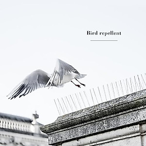 Cabilock Bird Spikes Stainless Steel Bird Blinder Bird Repellent Deterrent Spikes for Pigeons Birds