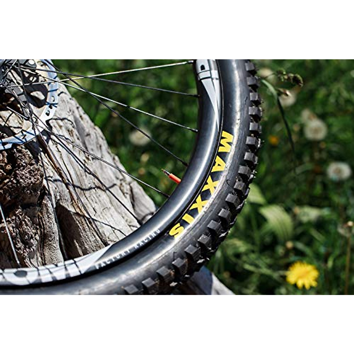 Tubolito Tubo MTB 29" x 1.8-2.5" Tube - 42mm Presta Valve, Disc