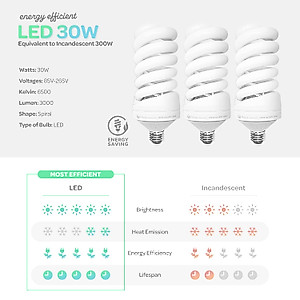 LimoStudio, 900W LED Output Lighting Series, LMS104, Soft Continuous LED Lighting Kit for White and Black Umbrella Reflector with LED Spiral Bulbs, Accessory and Carry Bag