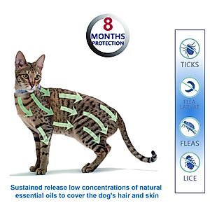 Natural Ingredients Flea Collar for Cats, Safe and Effective Flea and Tick Repellent, Waterproof, 8 Months Protection Each, Free Comb and Tick Scoop, One Size Fits All, 13.8 inch, 4-Pack