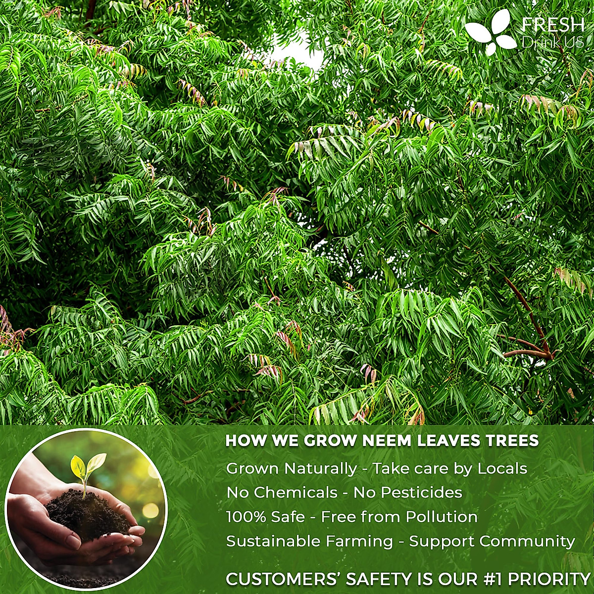 Premium 100 Neem Leaf Tea Bags, 100% Natural and Pure from Neem Leaves. Loose Leaf Neem Herbal Tea. Neem Leaf Tea. No Sugar, No Caffeine, No Gluten, Vegan.