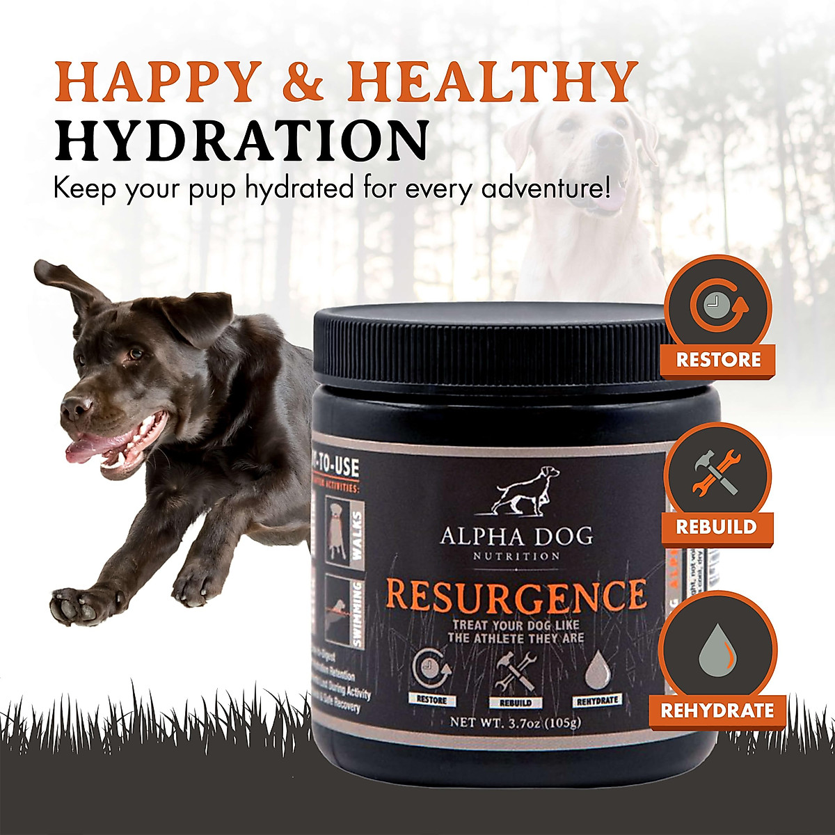Resurgence Dog Electrolytes by Alpha Dog Nutrition | Promote Dog Hydration, Increase Stamina, and Boost Recovery | Electrolyte Water Additive or Food Topper to Prevent Dehydration with Beef Flavoring