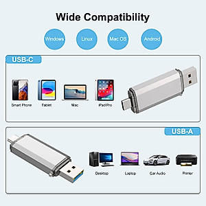 RAOYI 128GB USB C Flash Drive, 2 in 1 USB 3.0 Type C Dual OTG Metal Thumb Drive Jump Drive Memory Stick with Keychain Suitable for USB-C Smartphones, MacBook, Computers and Tablets (Silver)