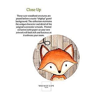 Woodland Nursery Decor for Boys - Animal Pictures Wall Art - Baby Room Animal Prints on Shiplap Background - Bear Deer Fox Raccoon Owl Squirrel Decor - Set of 6 PRINTS - 8x10 - UNFRAMED