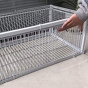 Big Foldable Galvanised Pigeon Dove Bird Trap Cage Feral Pigeon Humane Way with The one-Way Entrance Trapping Pigeons Doves in Cages (40x40x26 4Entrance)